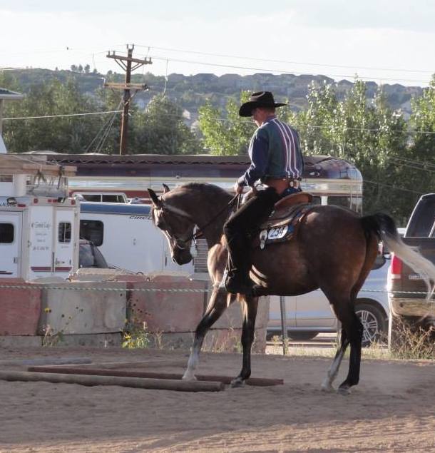 Shows & Clinics – Colorado Arabian Horse Club